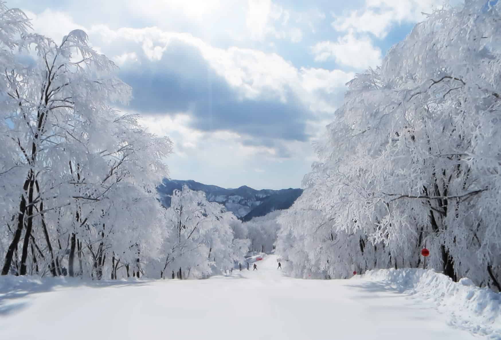 The Ultimate Guide to Skiing in Hakuba - Hakuba